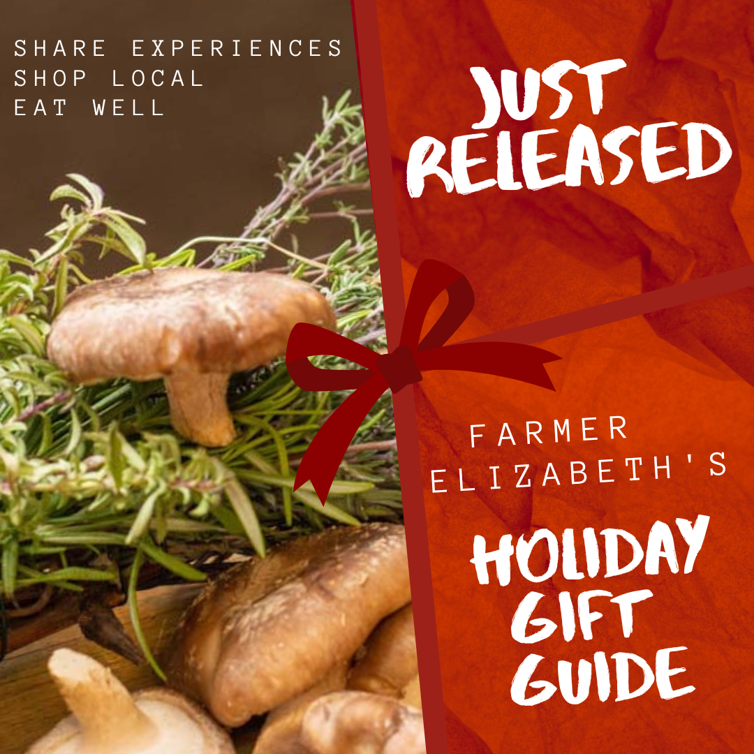 Holiday Gift Guide 2022 – Fat Moon Mushrooms